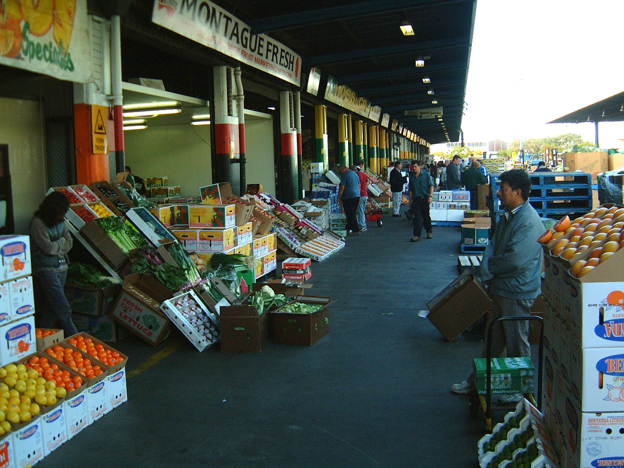 Brisbane Flower Markets Sherwood Road Rocklea Qld | Best Flower Site