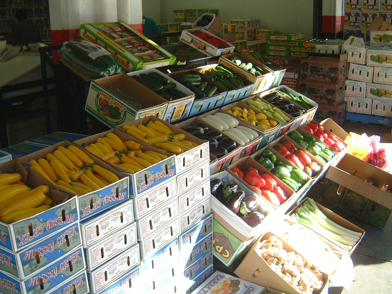 Asisbiz Brisbane Markets Sherwood Road Rocklea Queensland 4106 zucchini I01