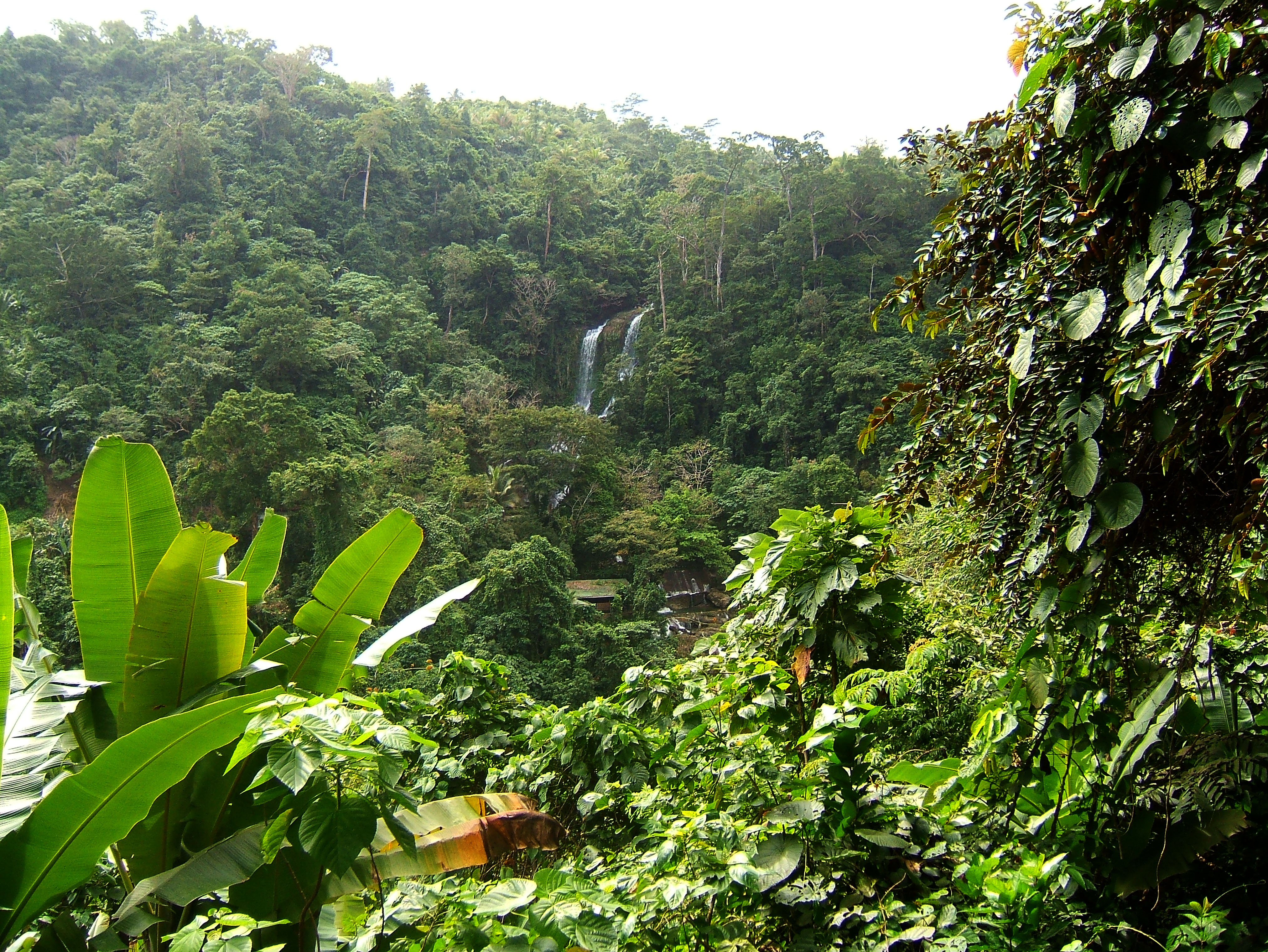 Local tourist hangout Tamaraw Falls Tukuran River Oriental Mindoro ...