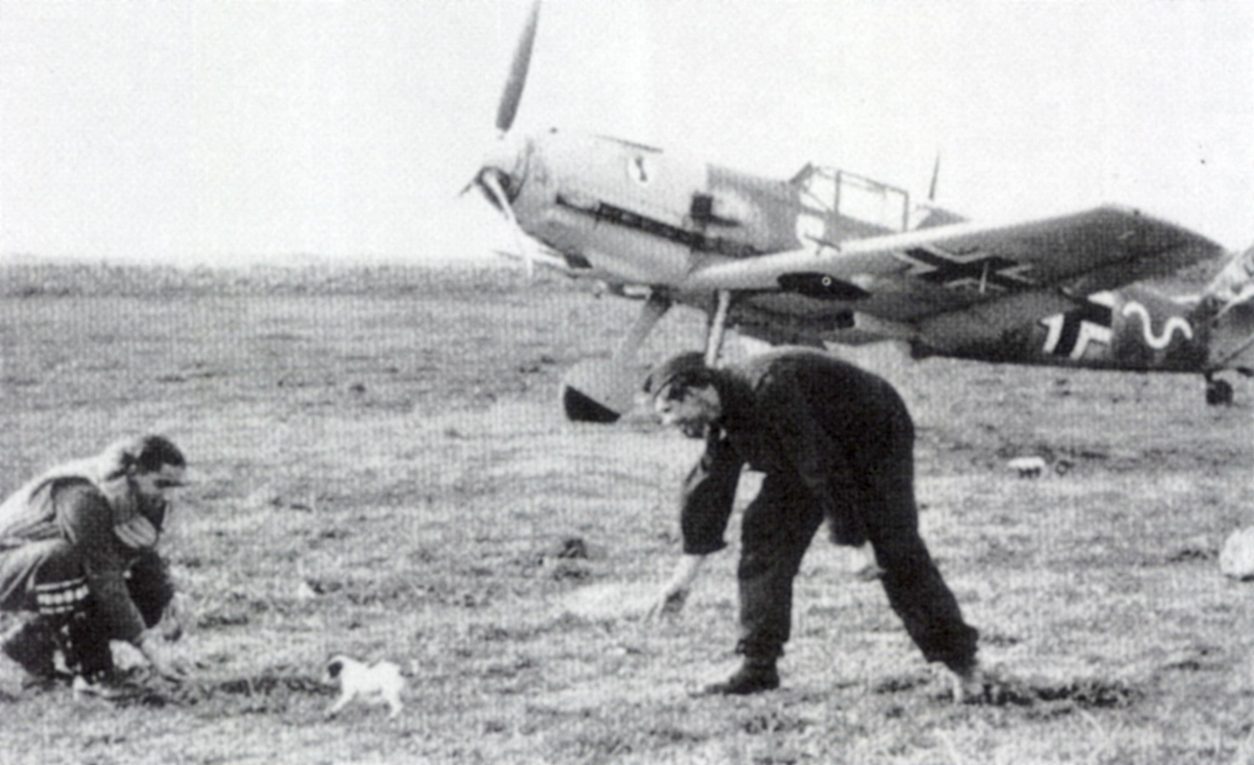 Asisbiz Messerschmitt Bf 109E7 7.JG2 White 8 Kurt Goltzsche France 1940 01 Asisbiz Messerschmitt Bf 109E7 7.JG2 White 8 Kurt Goltzsche France 1940 01
