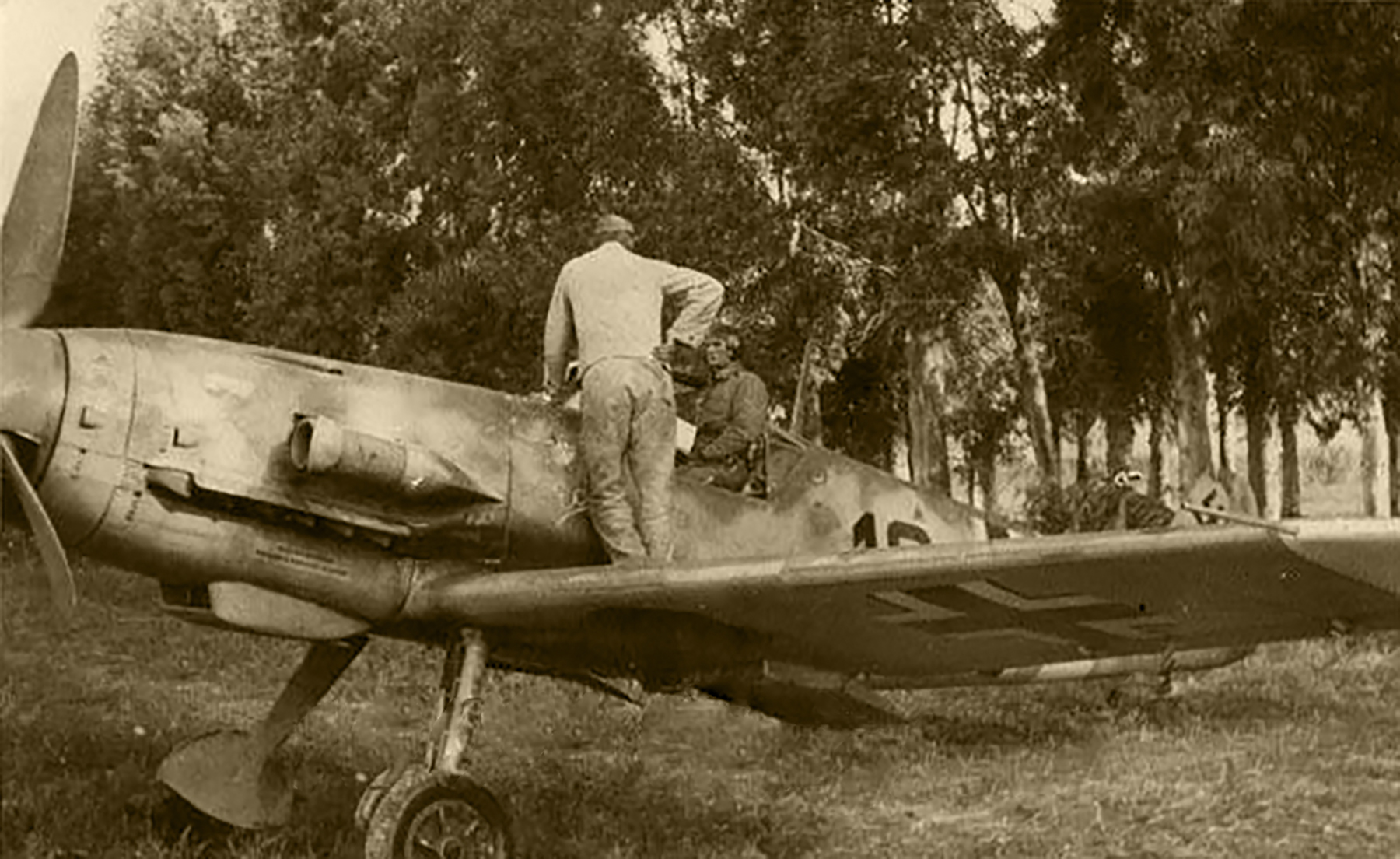 Asisbiz Messerschmitt Bf 109G6Trop 2.(H)14 Red 10 Reggio Italy 1943 ebay 03