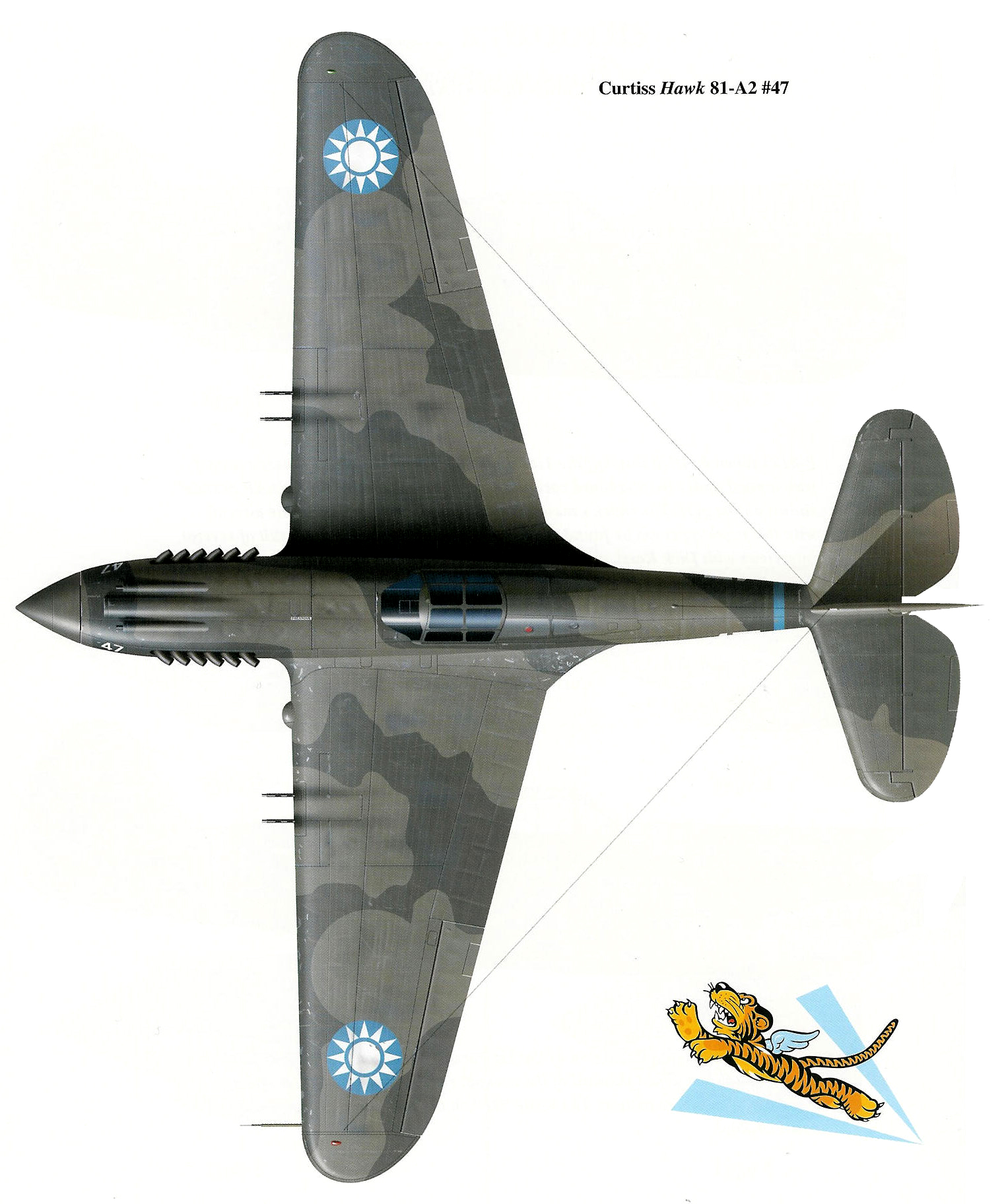 Asisbiz Curtiss Hawk 81A 23FG2PS White 47 P 8127 John Petach Burma 1942 0B