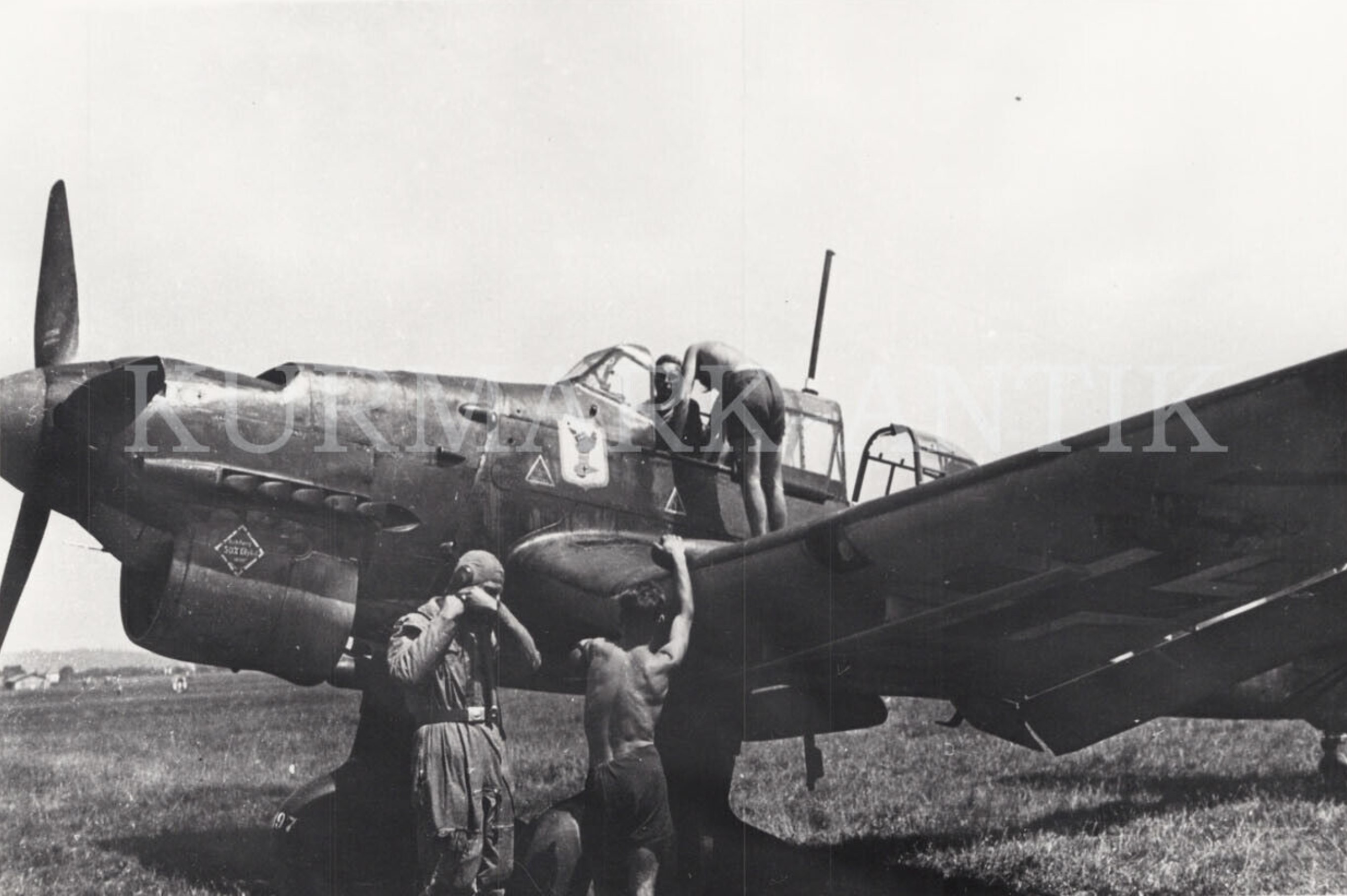 Asisbiz Junkers Ju 87B Stukaschule Graz emblem left side ebay 02