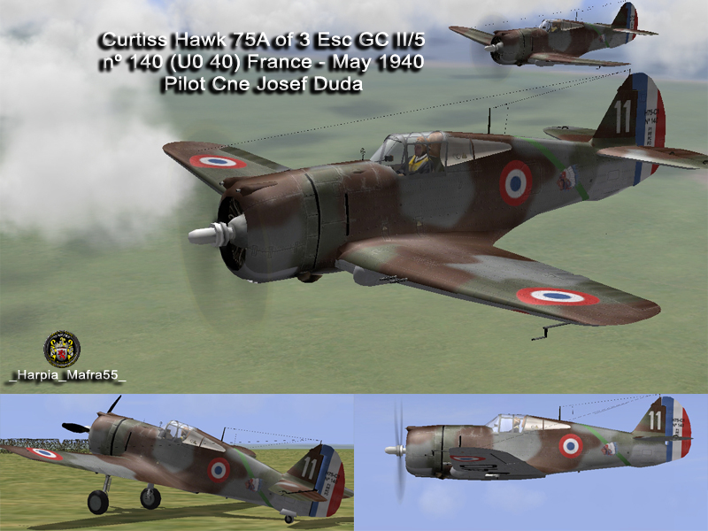 Asisbiz IL2 HM Hawk 75A 3 FAF GCII.5 W11 Duda France 1940-V00