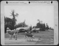Asisbiz 350th Fighter Group P-47 Thunderbolt photo gallery